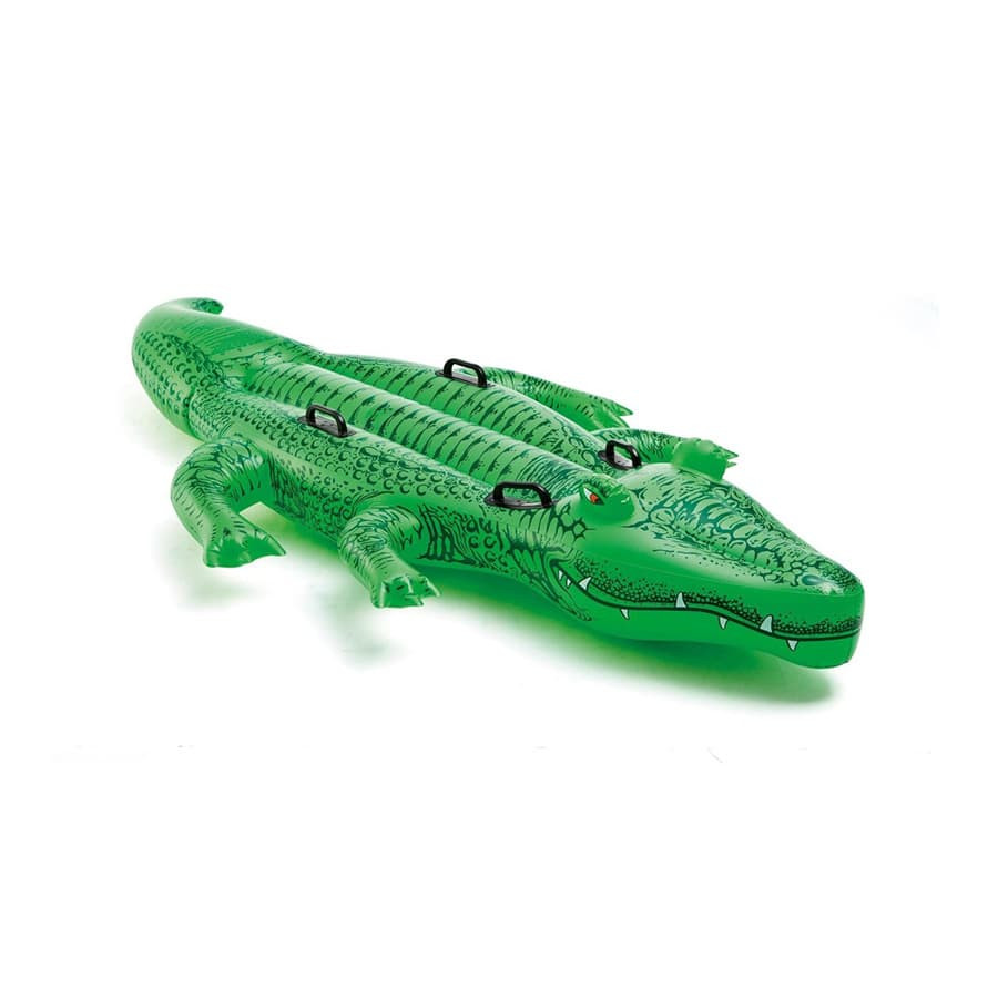 Giant crocodile ride-on | Club Piscine Super Fitness