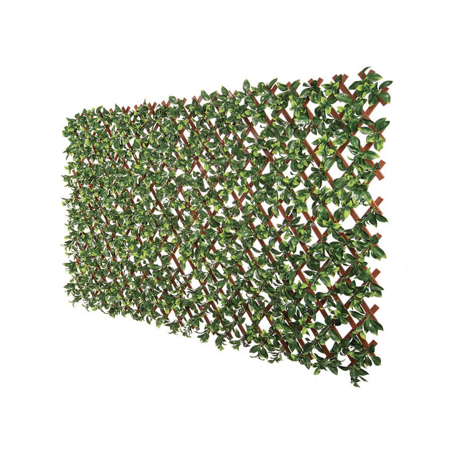 Treillis de PVC extensibleFeuilles de Gardénia | Club Piscine Super Fitness